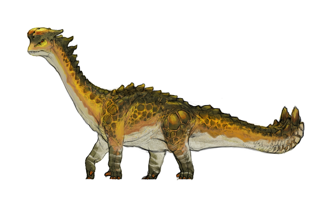 Monster Hunter Generations: localisation blog post #2 (Astalos, Maccao ...