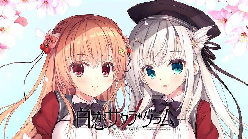 Shirokoi Sakura * Gram Eternal snow blooming, season of love. (Switch ...